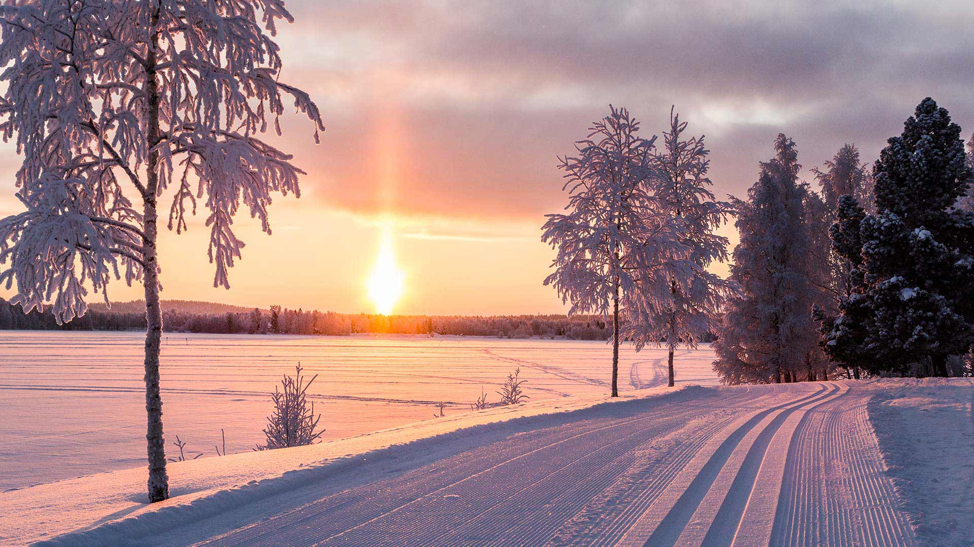 Lapland Adventure Break : 4 Days 3 Nights : Independent : Nordic Visitor